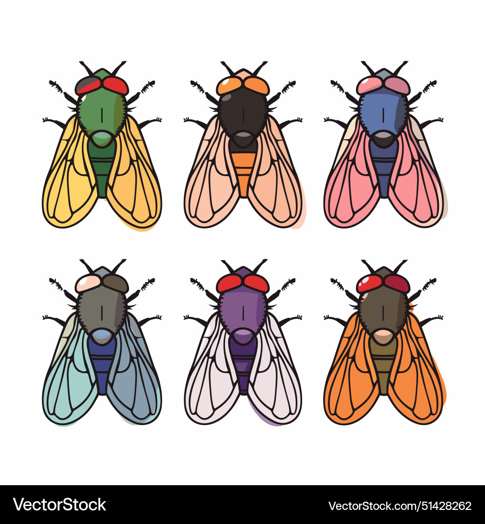Six stylish flies wearing sunglasses various Vector Image