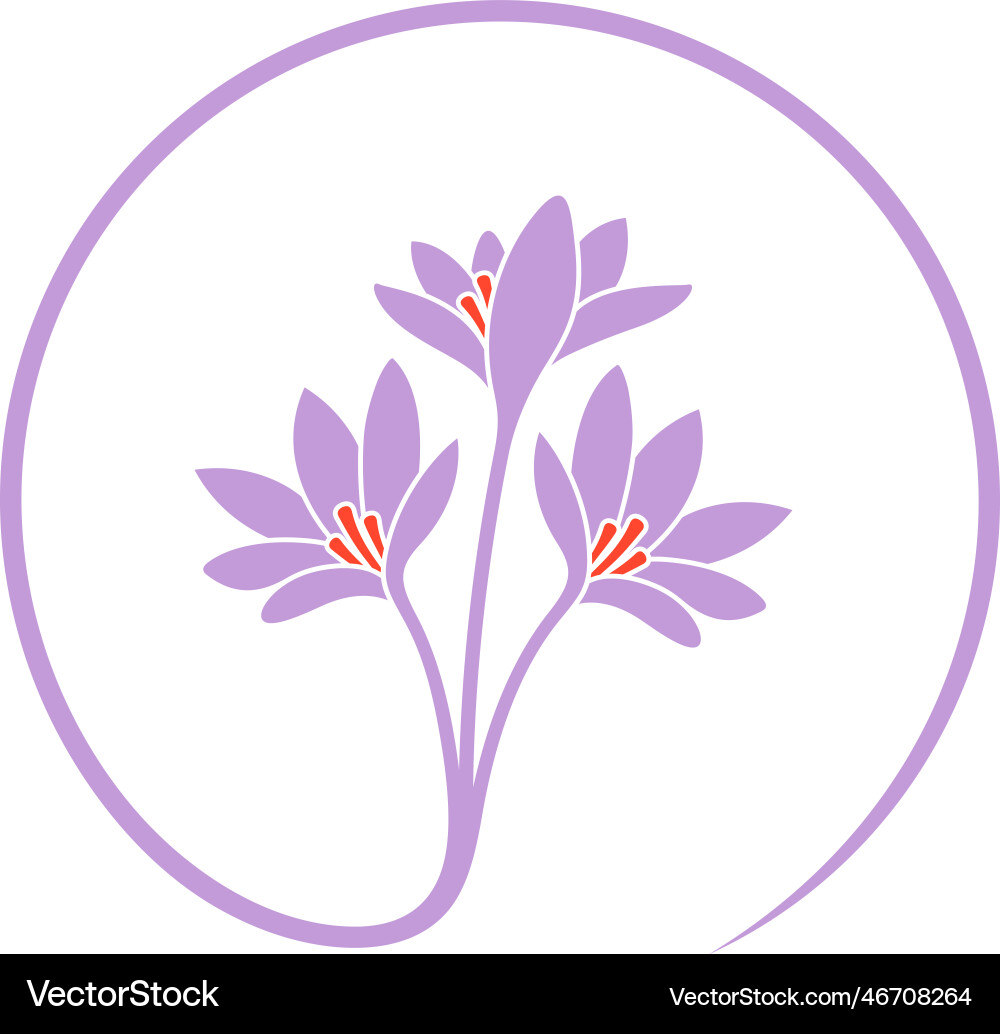 Saffron Royalty Free Vector Image - VectorStock