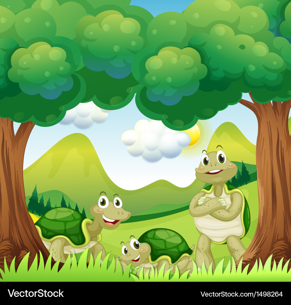 Three turtles in the woods Royalty Free Vector Image