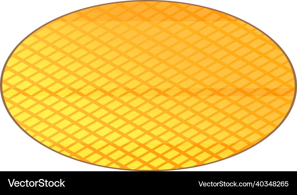 Silicon wafer round composition Royalty Free Vector Image