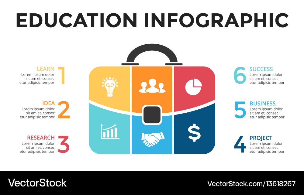Briefcase infographic template for bag Royalty Free Vector