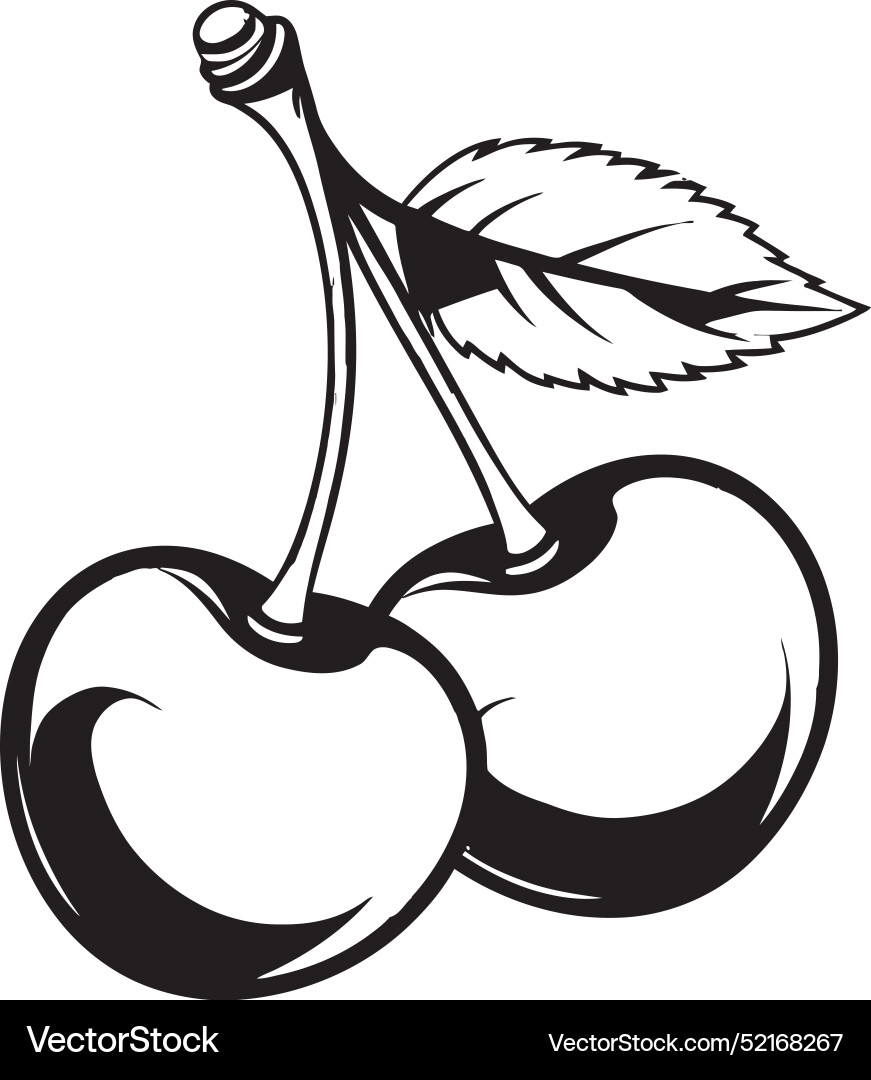 Cherries and their culinary magic Royalty Free Vector Image