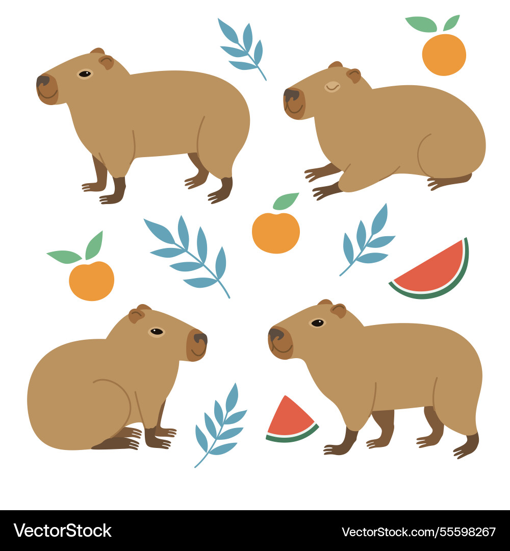 Cute capybara in various positions isolated on Vector Image