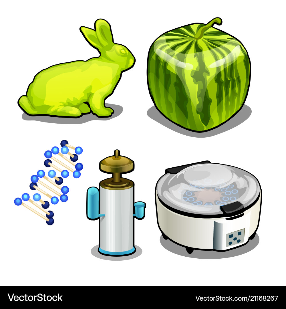 Set of items on the topic genetic Royalty Free Vector Image