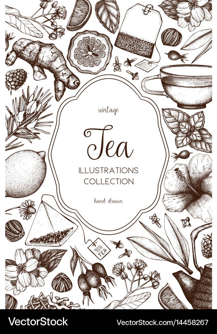 Tea design Royalty Free Vector Image - VectorStock