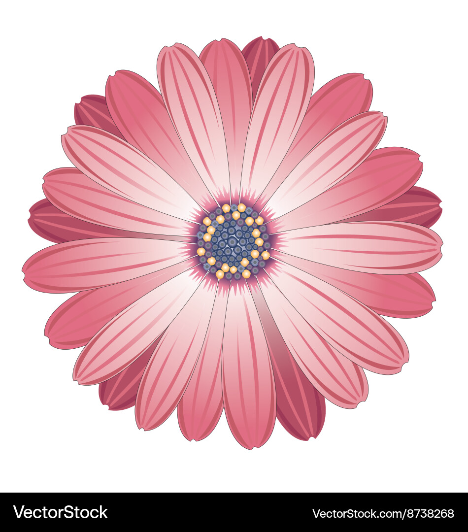 Flower pink seamless pattern background Royalty Free Vector