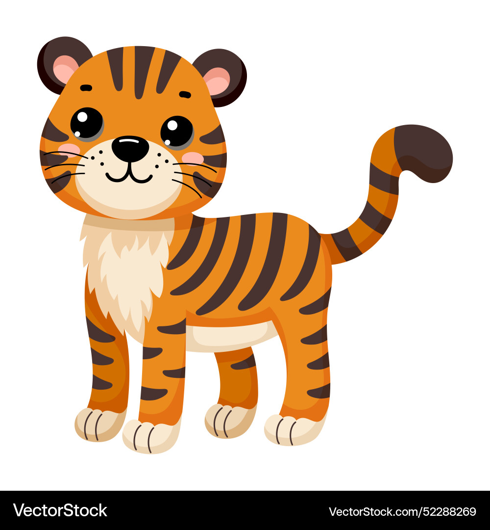African wild tiger Royalty Free Vector Image - VectorStock