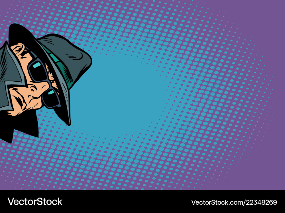 Spy surveillance and hacking Royalty Free Vector Image