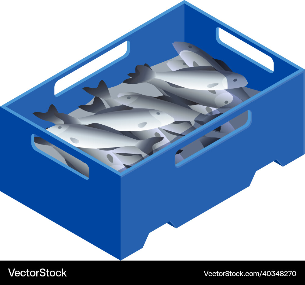 Fishes in box composition Royalty Free Vector Image