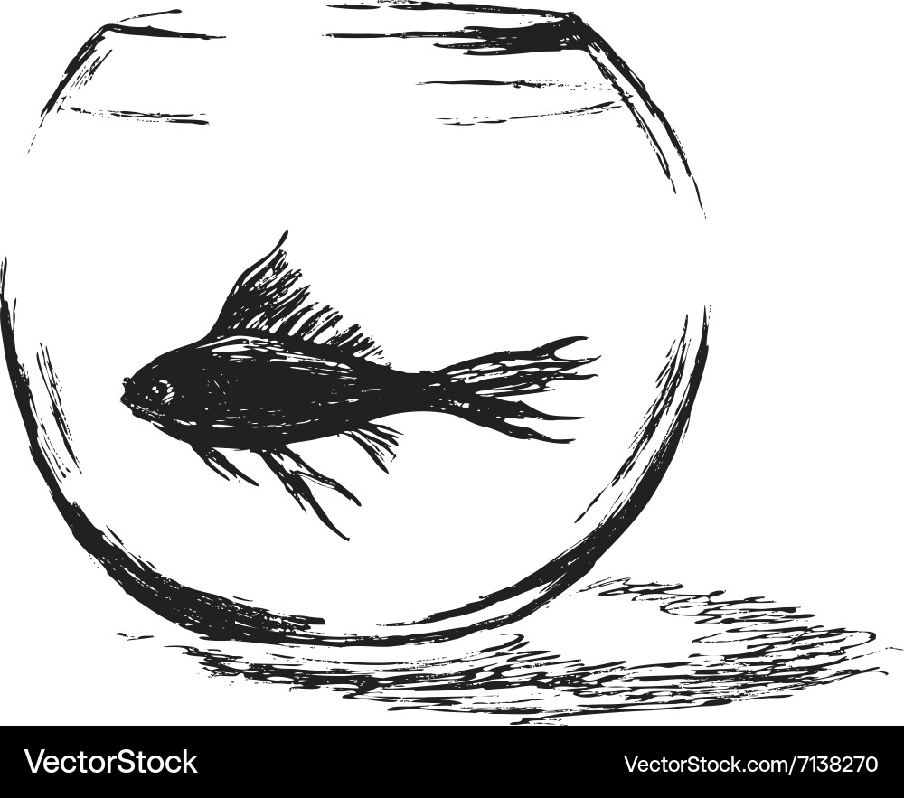 Hand sketch aquarium with fish Royalty Free Vector Image