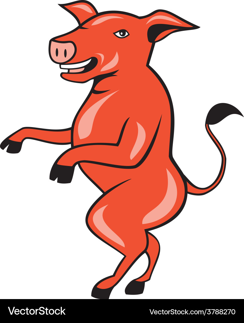 Pig walking tall side cartoon Royalty Free Vector Image