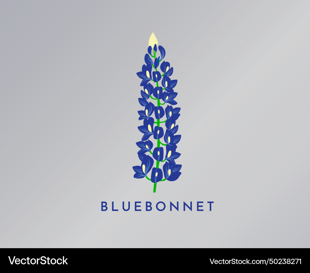 Bluebonnet flower art design Royalty Free Vector Image