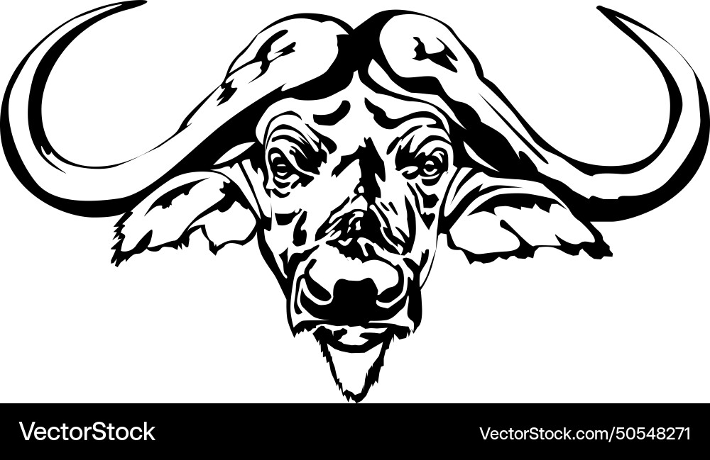 Buffalo head Royalty Free Vector Image - VectorStock