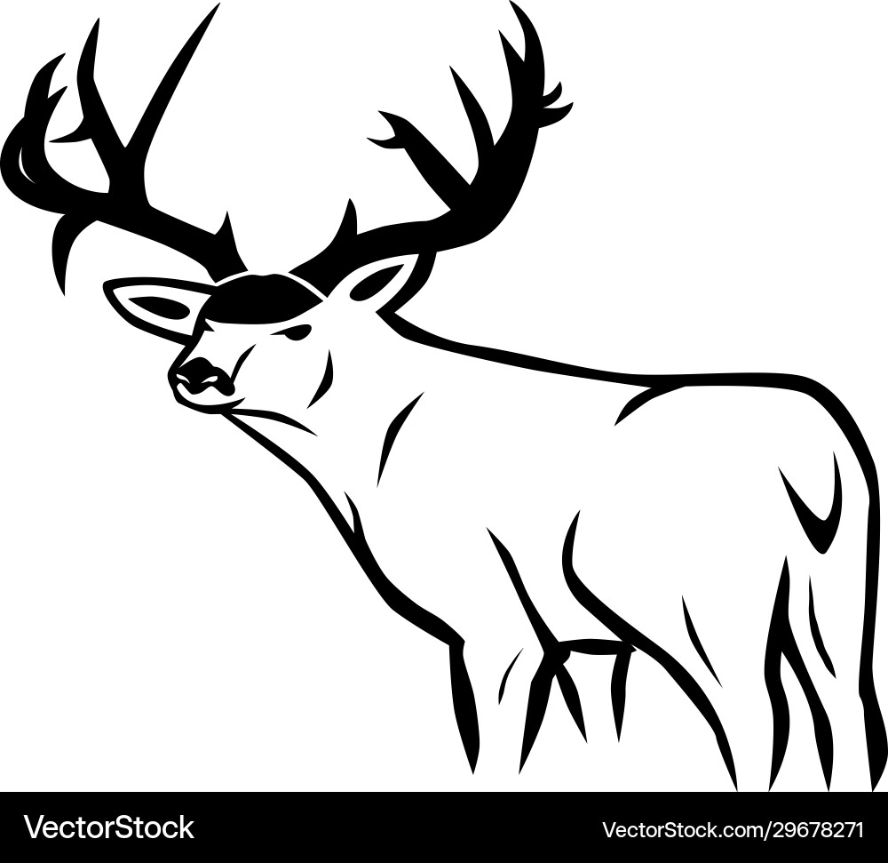 Bull elk Royalty Free Vector Image - VectorStock