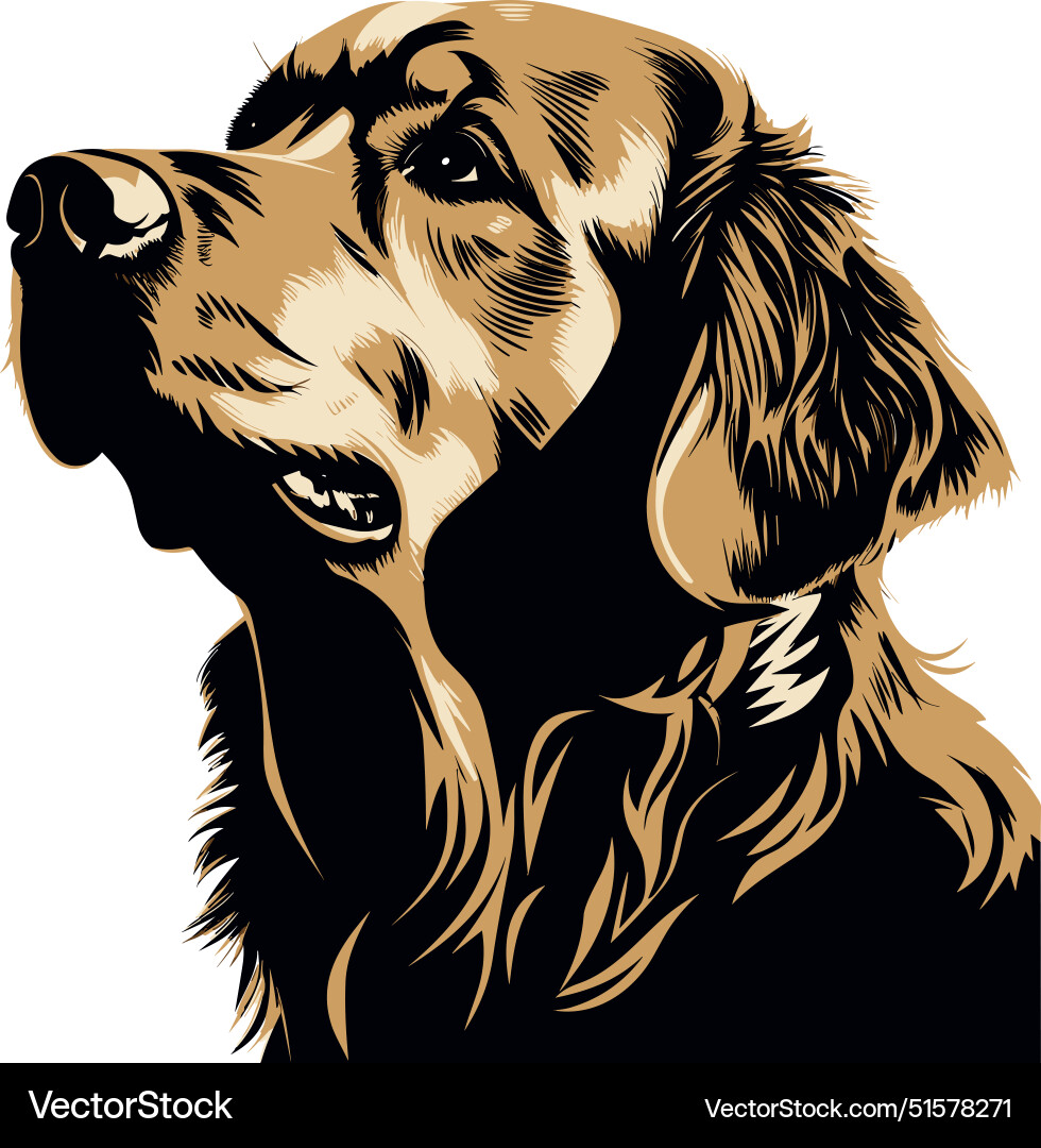 Golden retriever silhouette Royalty Free Vector Image