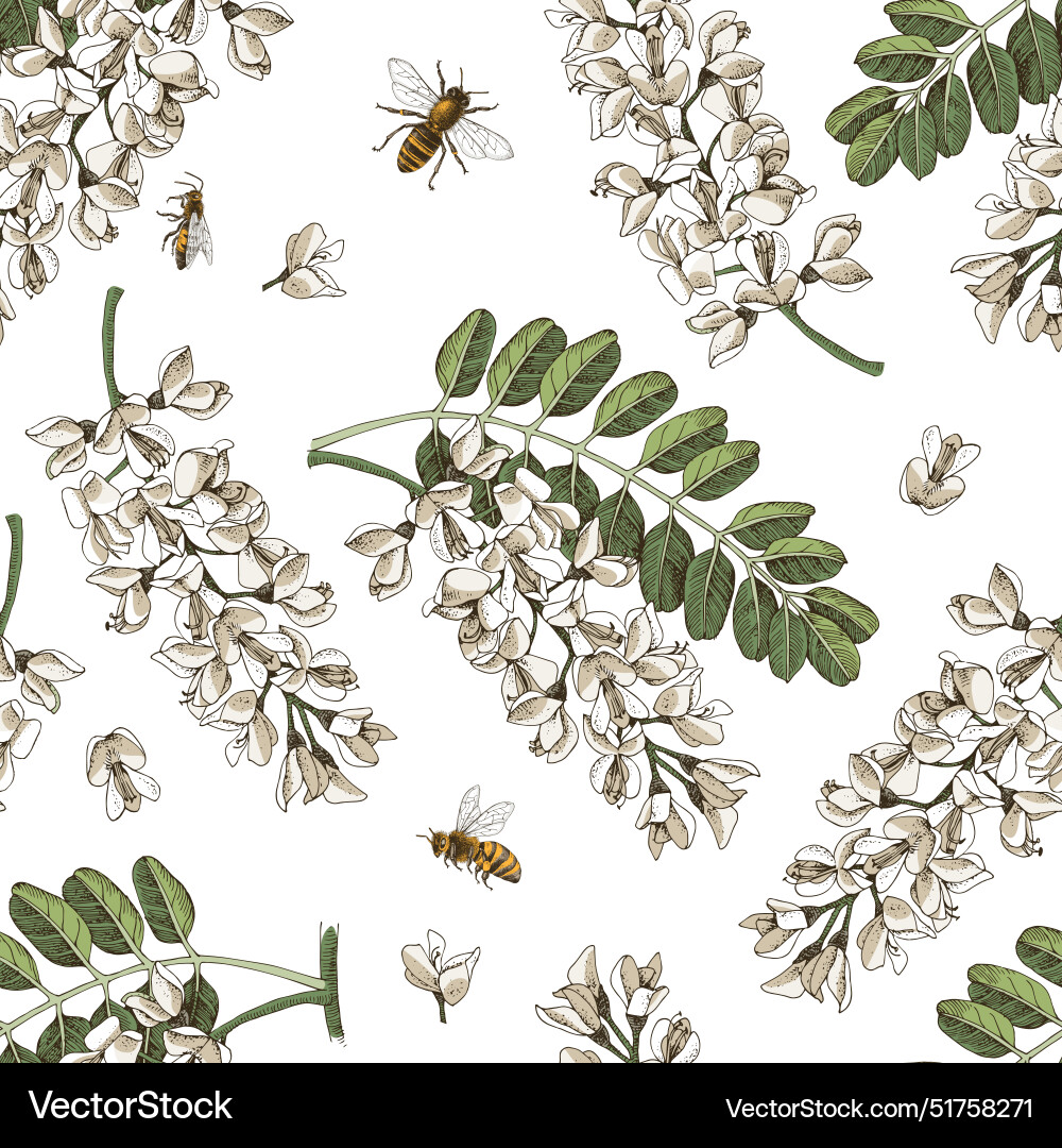 Seamless pattern with blooming acacia Royalty Free Vector