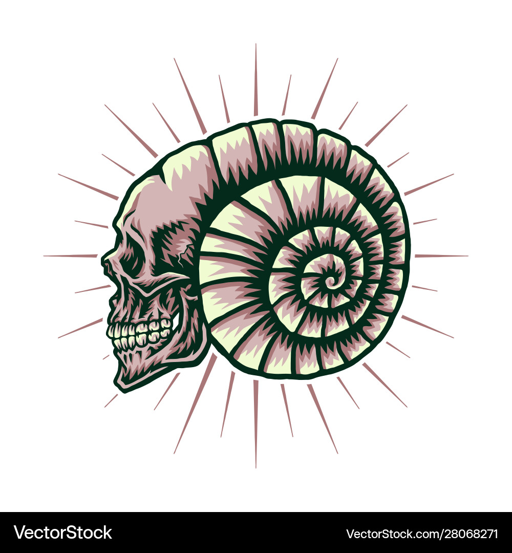 Shell skull Royalty Free Vector Image - VectorStock