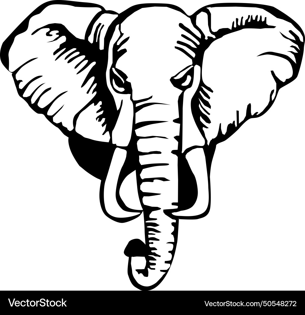 Elephant head Royalty Free Vector Image - VectorStock