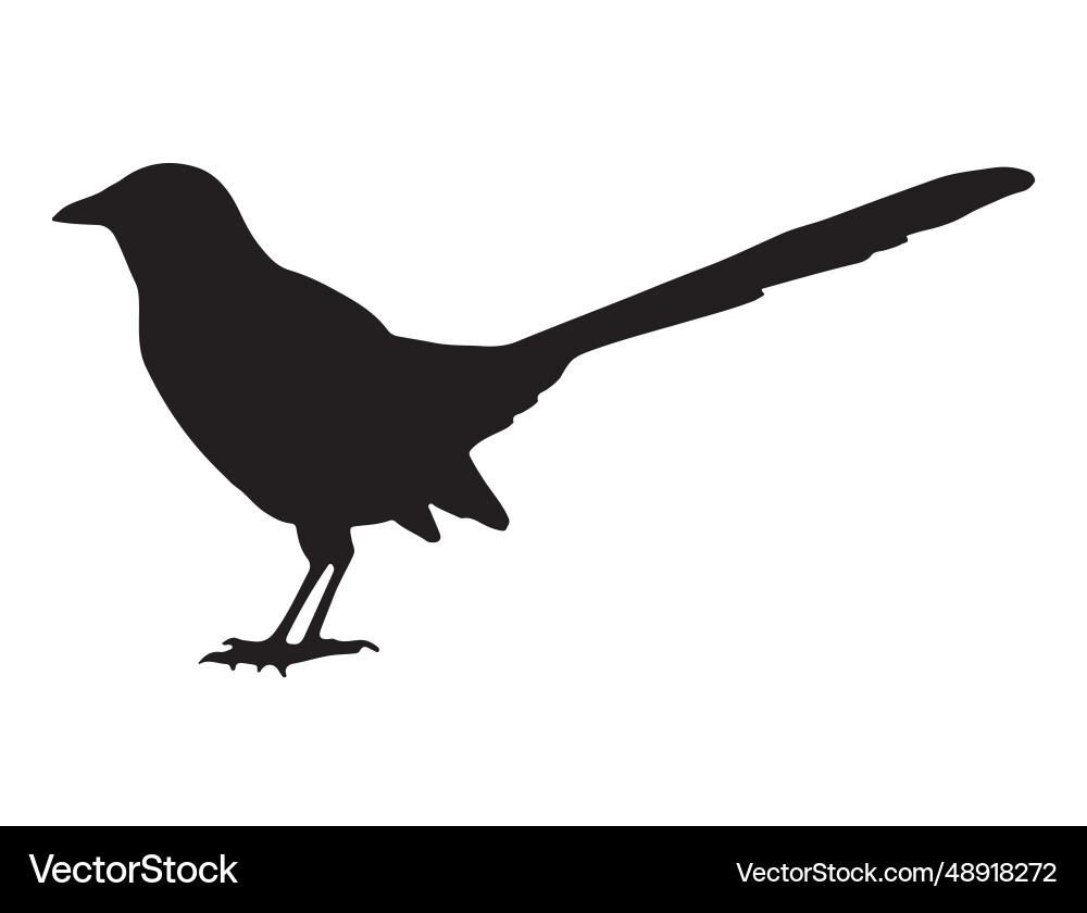 Magpie bird silhouette art Royalty Free Vector Image