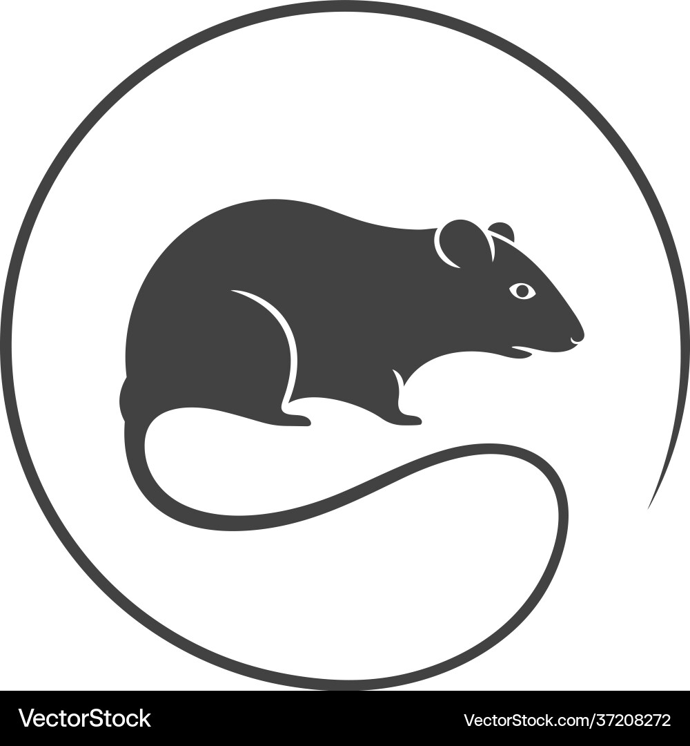 Mouse Royalty Free Vector Image - VectorStock