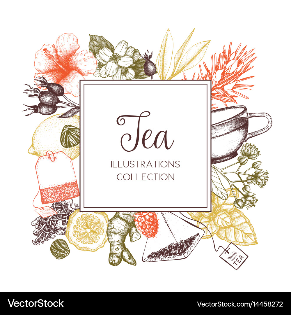 Tea design Royalty Free Vector Image - VectorStock
