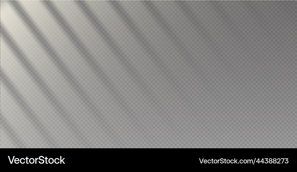 Sunlight overlay effect sunbeams on a wall sunny Vector Image