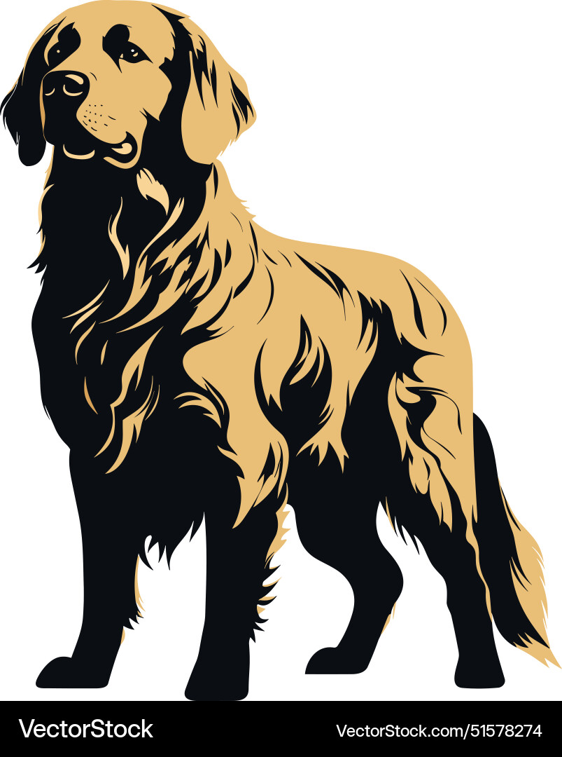 Golden retriever silhouette Royalty Free Vector Image