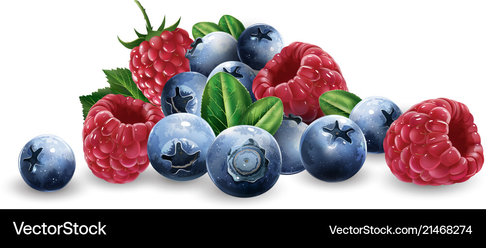 Raspberries blueberries and strawberries Vector Image