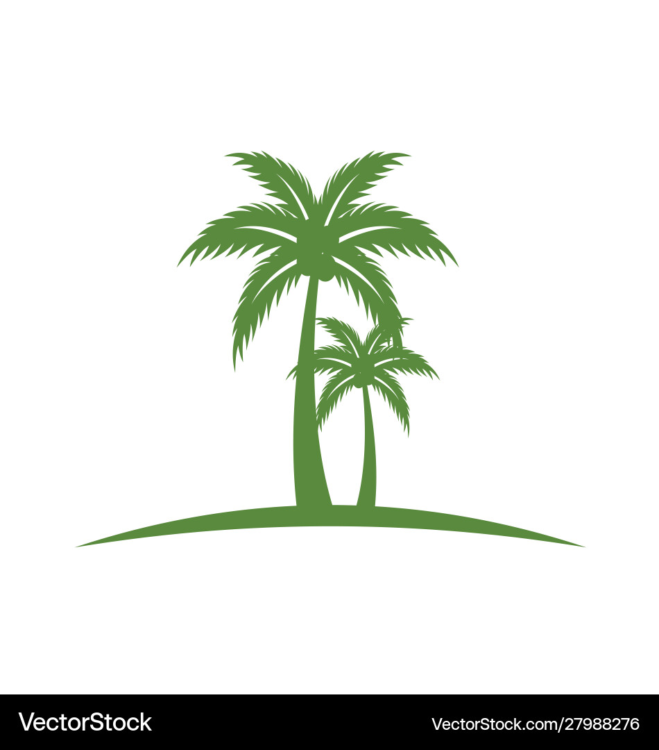 Coconut Tree For Logo