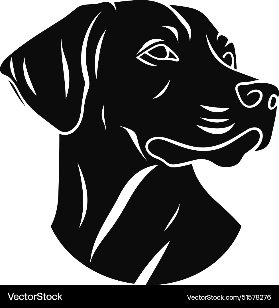 Labrador retriever silhouette line art template Vector Image