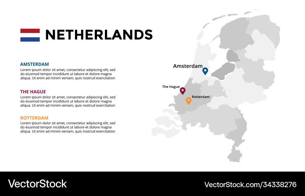 Netherlands map infographic template slide Vector Image