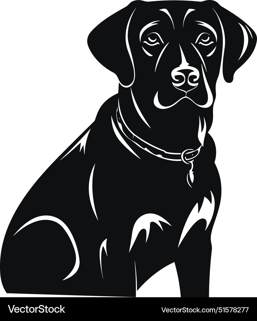 Labrador retriever silhouette line art template Vector Image