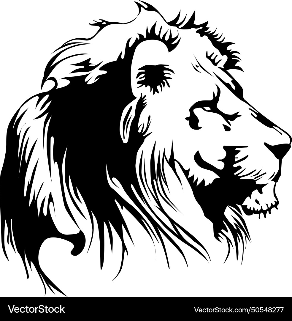 Lion head Royalty Free Vector Image - VectorStock