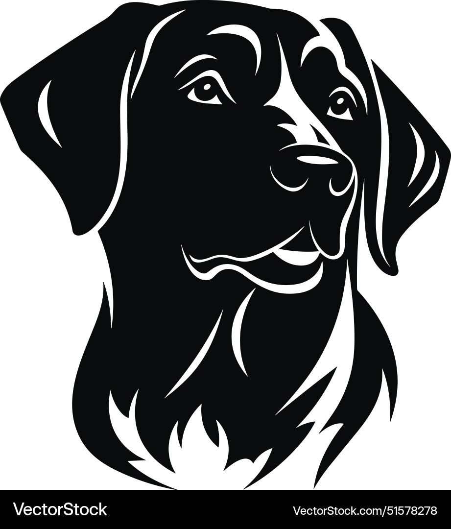 Labrador retriever silhouette line art template Vector Image