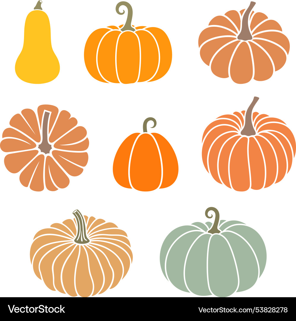 Pumpkin Royalty Free Vector Image - VectorStock