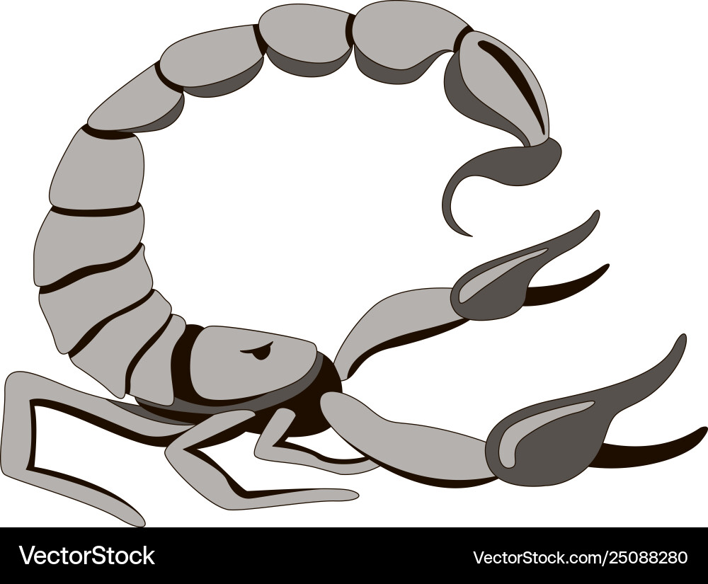 Scorpio flat style profile Royalty Free Vector Image