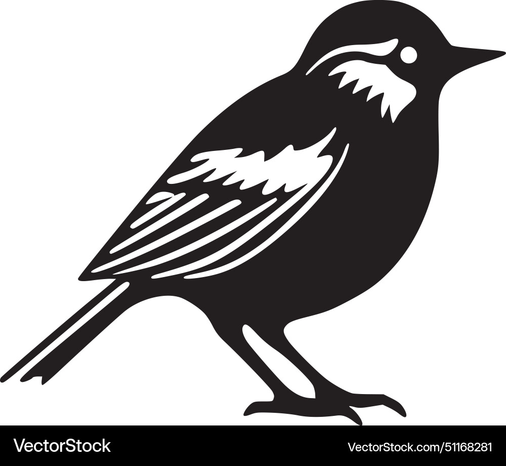 Red Robin Vector Images (over 1,000)