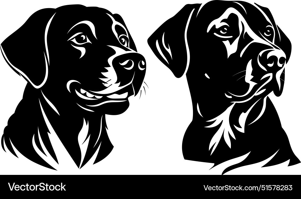 Labrador retriever silhouette line art template Vector Image