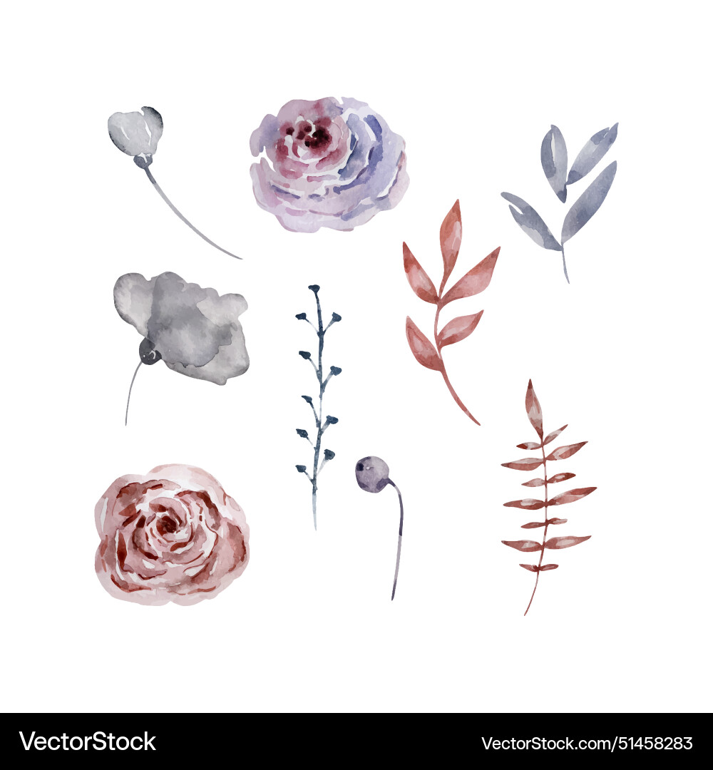 Watercolor boho flowers set Royalty Free Vector Image