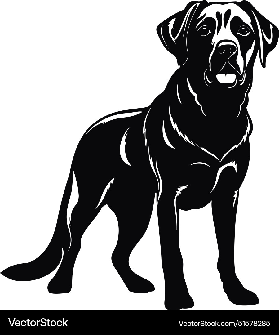 Labrador retriever silhouette line art template Vector Image