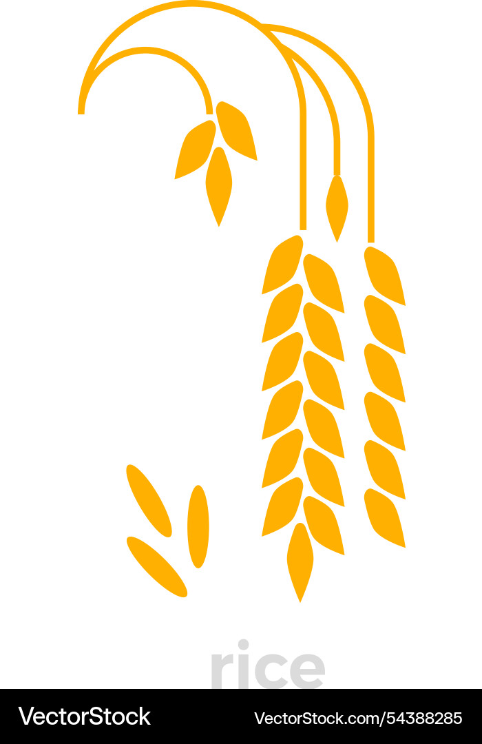 Rice crop color icon farm cereal grain Royalty Free Vector