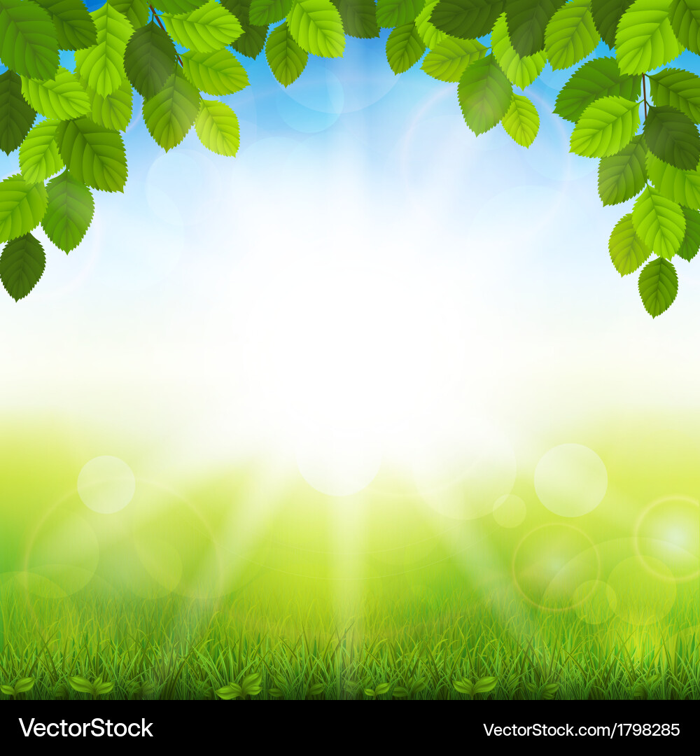 Summer background with green leaves Royalty Free Vector