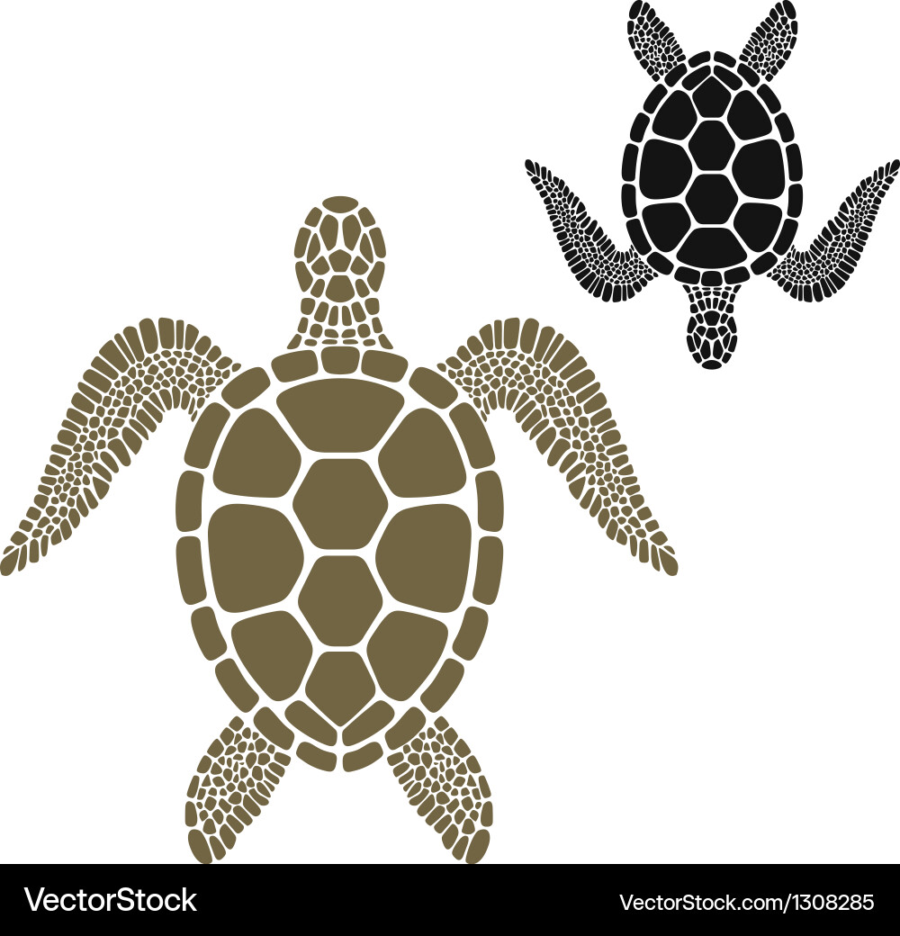 Turtle Royalty Free Vector Image - VectorStock