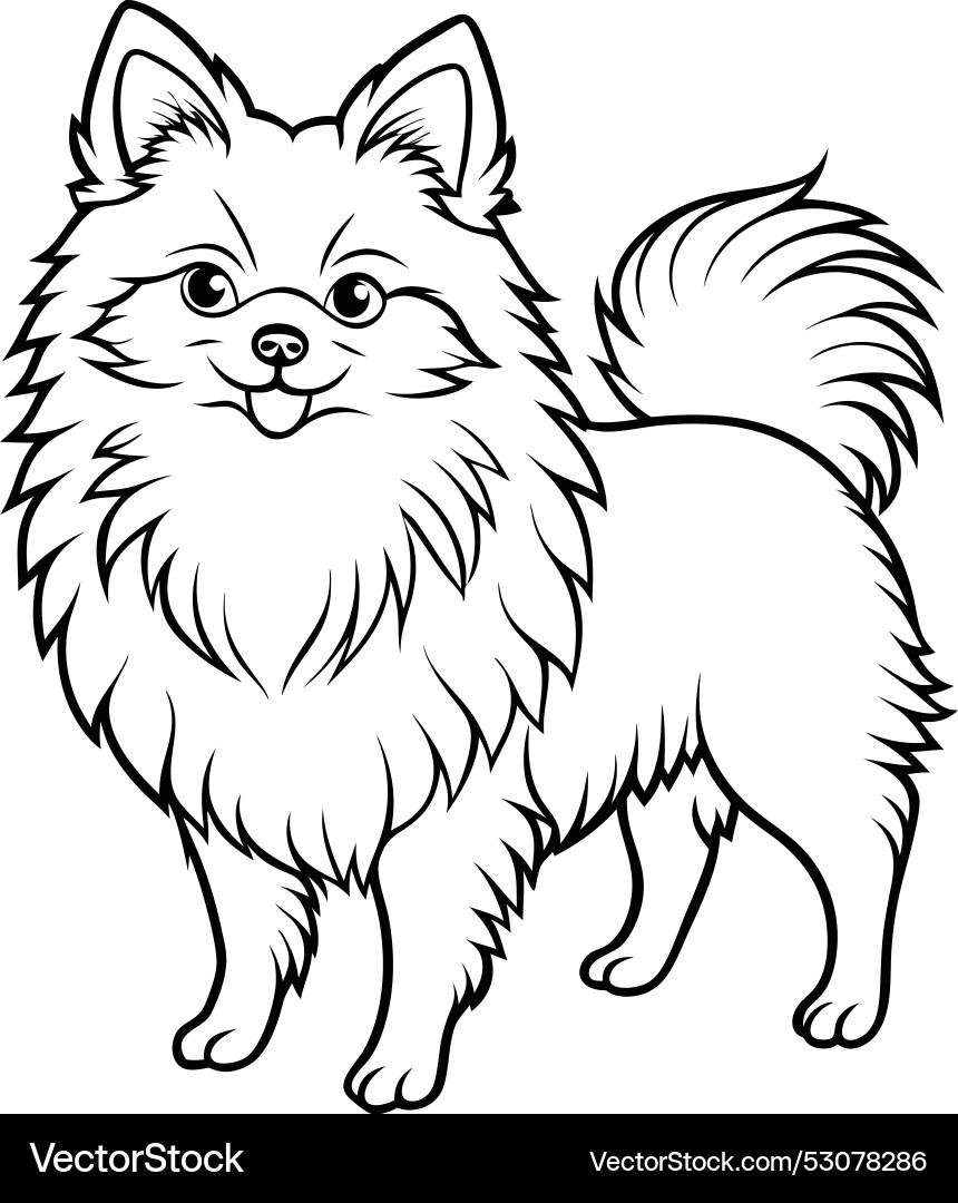 Cute pomeranian dog sketch hand drawn Royalty Free Vector