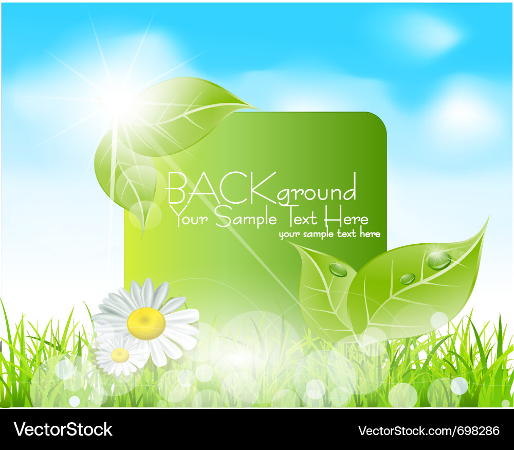 Spring Meadow Banner Royalty Free Vector Image