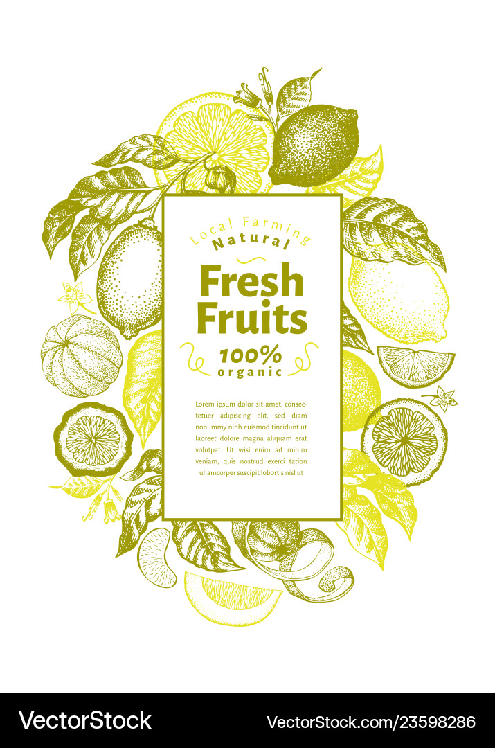 Vintage citrus banner template lemon tree design Vector Image