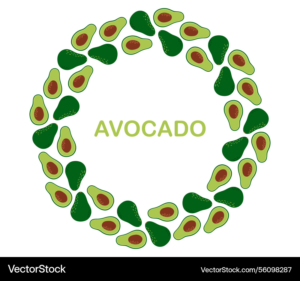 Avocado circle frame round seasonal tropical Vector Image
