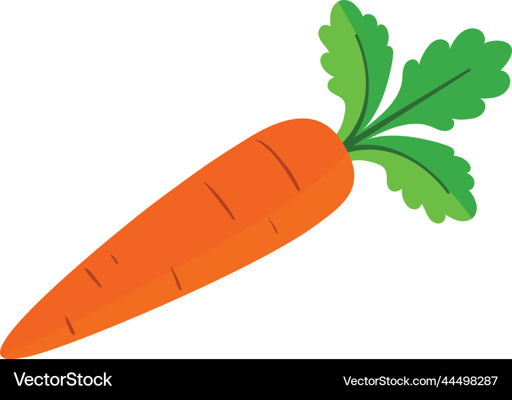 Clipart carrot Royalty Free Vector Image - VectorStock