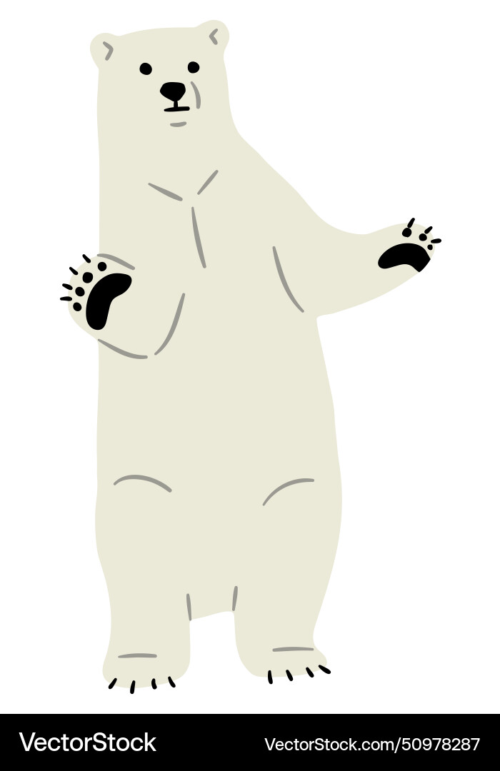 Polar bear single 4 Royalty Free Vector Image - VectorStock