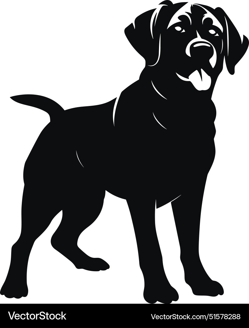 Labrador retriever silhouette line art template Vector Image